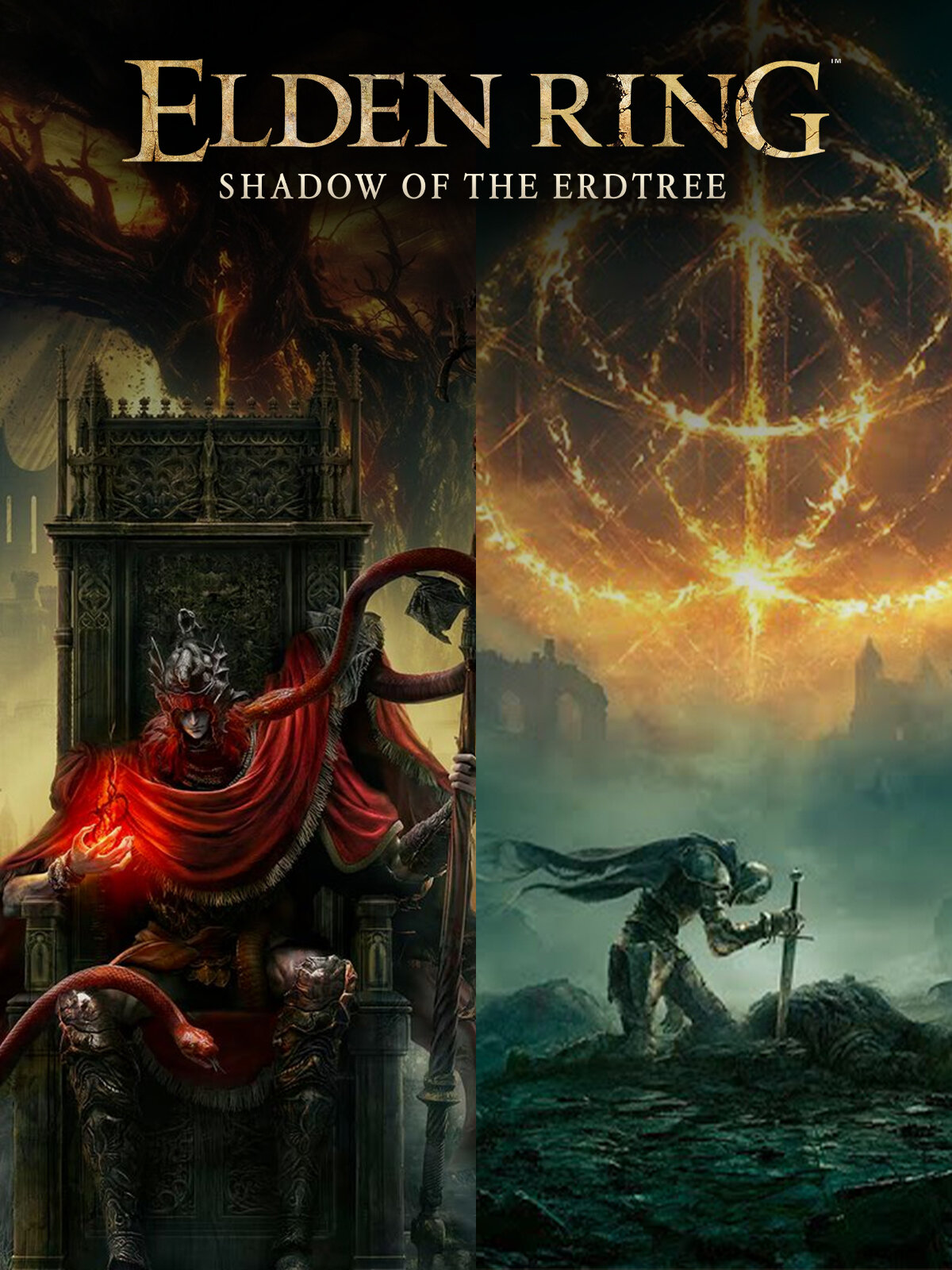 Elden Ring Shadow of the Erdtree Edition (Steam; PC; Регион активации РФ)