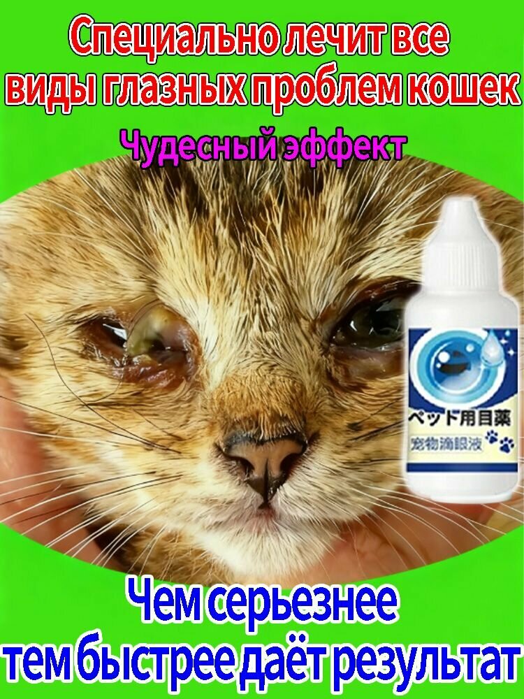 Капли для глаз для собак и кошек от гноя