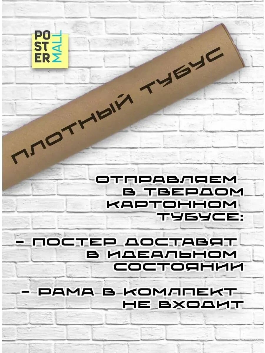 Постер для интерьера на стену (40х50 см). Группа Queen