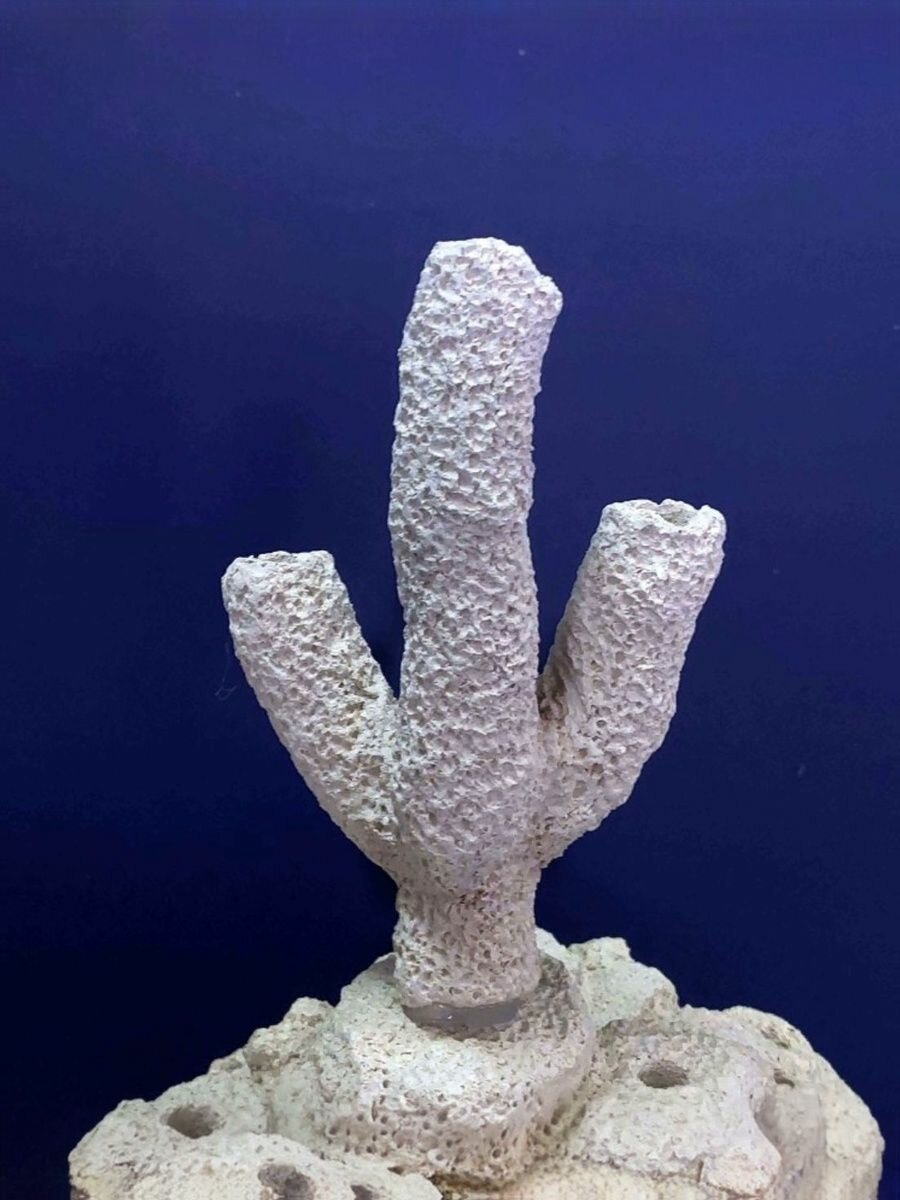 Веточка Арчер-Фиш, керамика, белая, для кораллов, вертикальная, 10x15 см