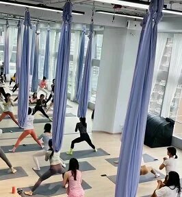 Антигравитационный гамак для йоги Wellsem, фиолетовый