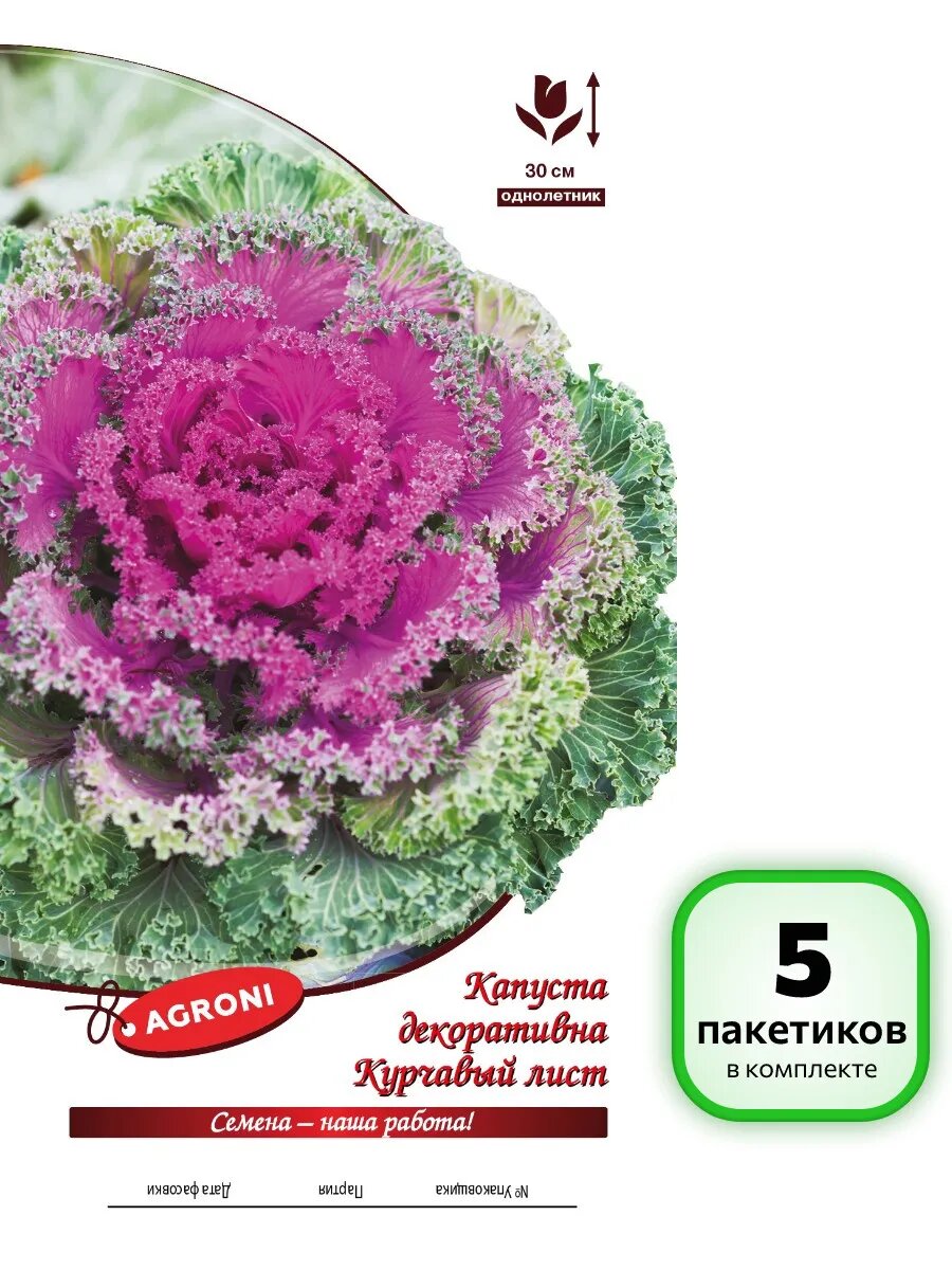(5 шт.) - Семена Капуста декоративная Курчавый лист (0,5г)