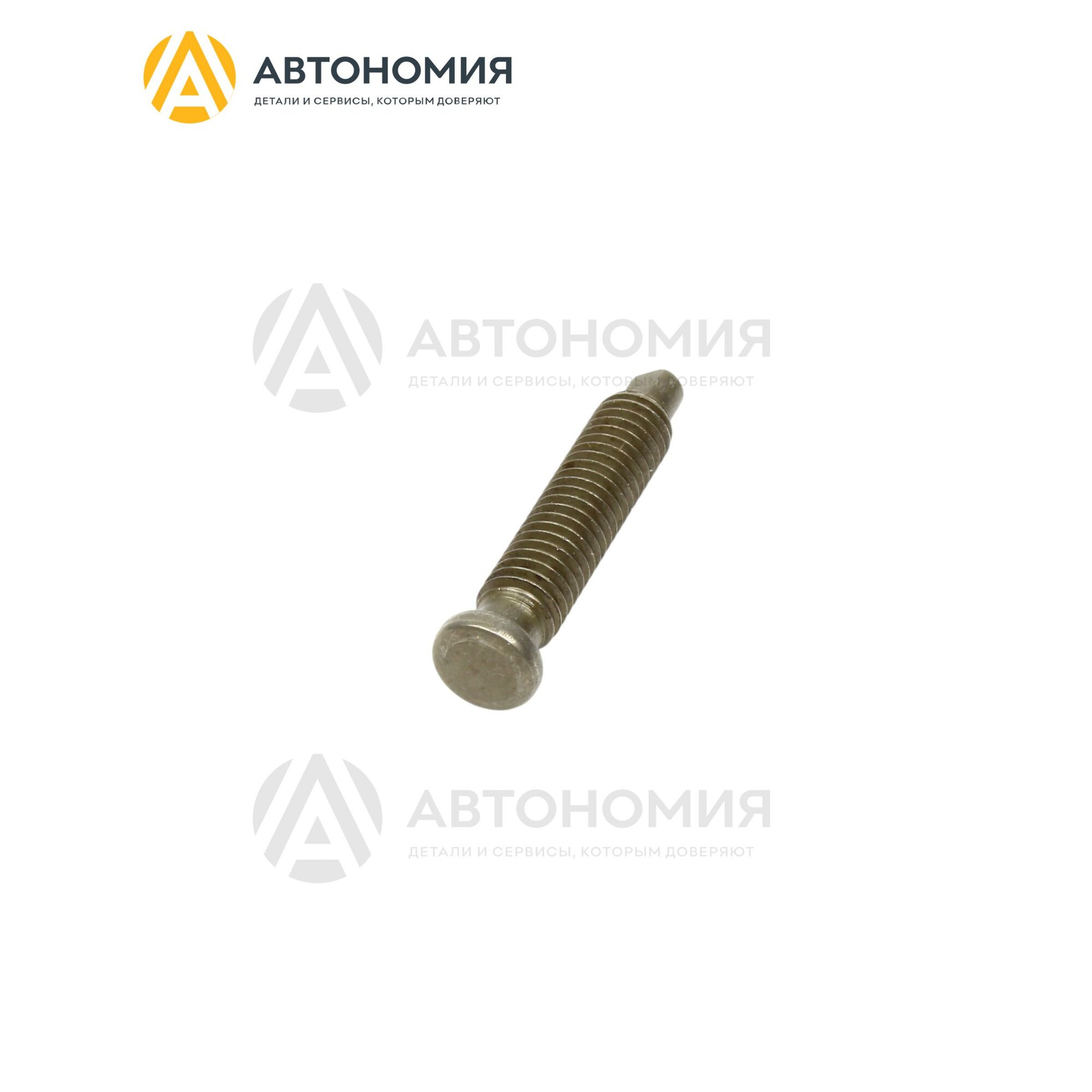 Винт регулировочный толкателя клапана Renault 77 00 273 504