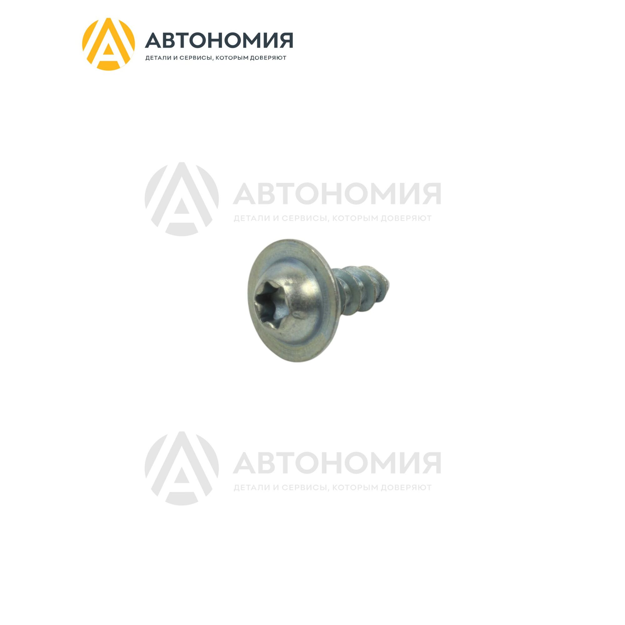 Саморез 6x17 с внутренним torx VAG N90 817 003