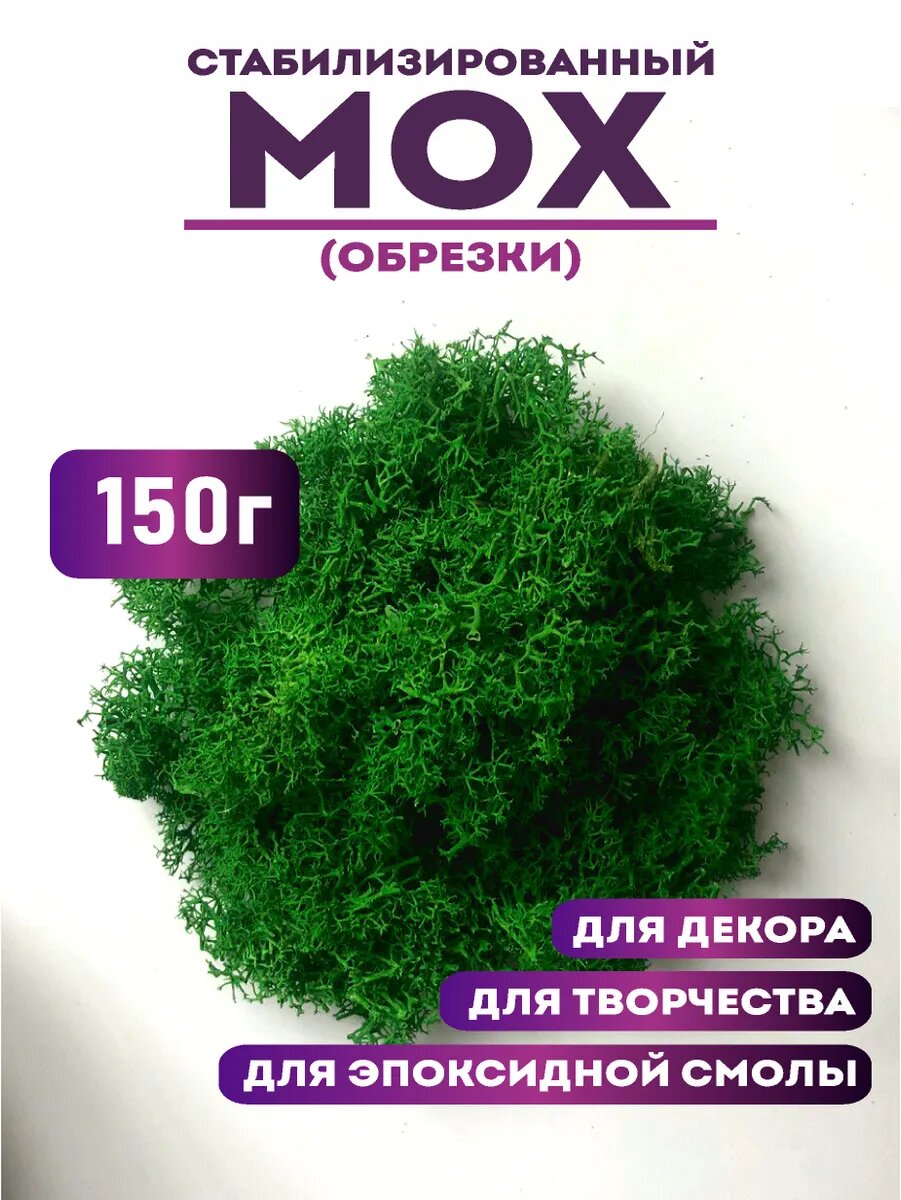 Стабилизированный мох