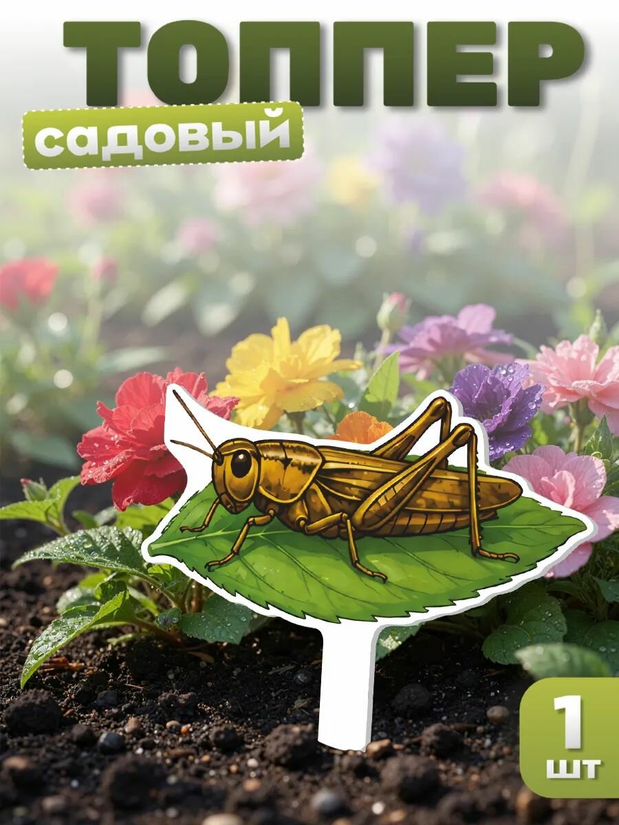 Садовые фигурки для дачи Кузнечик на листе