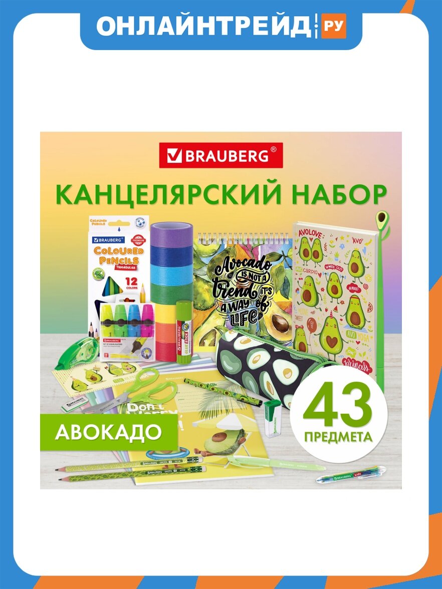 Набор канцелярии Brauberg подарочный "AVOCADO", 18 наименований, 43 предмета, 880951