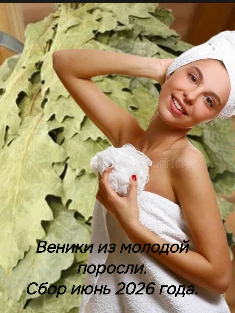 Веник дубовый для бани и сауны