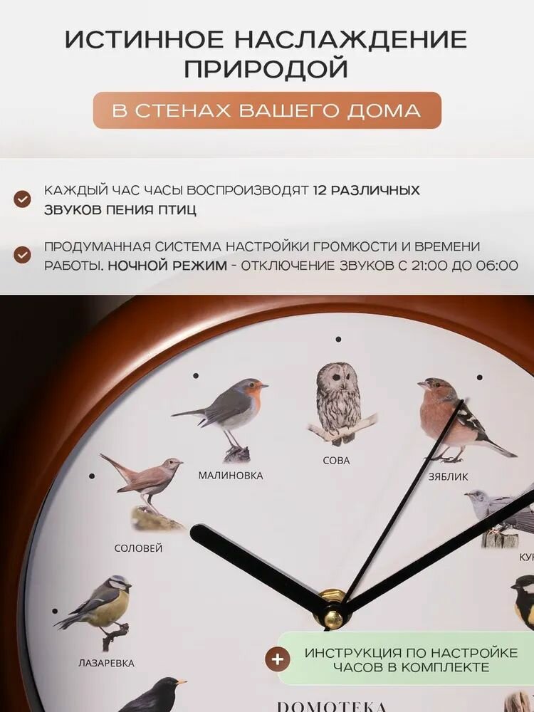 DOMOTEKA Настенные часы — фото 1