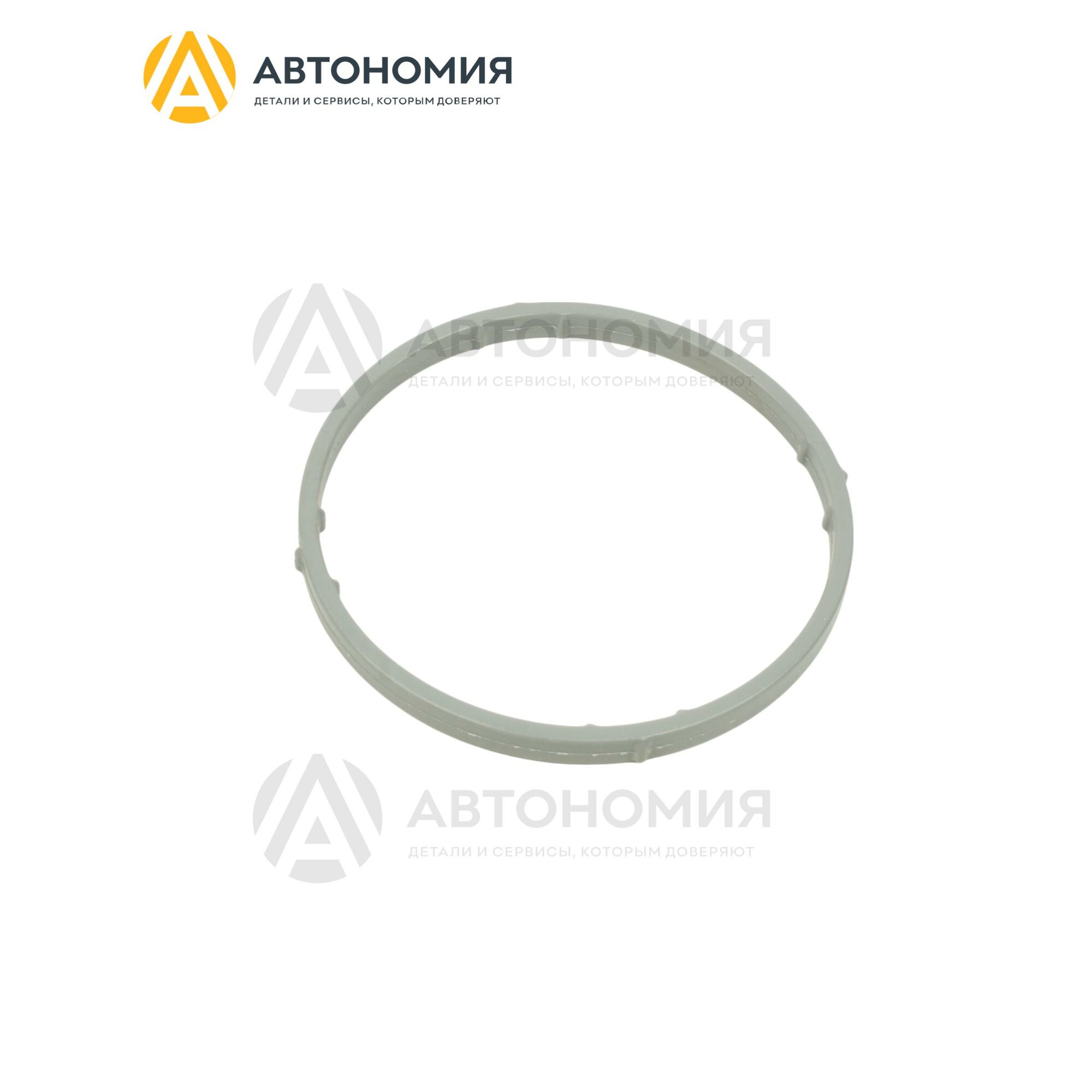 Кольцо уплотнительное термостата Tiggo Chery E4G16-1303131