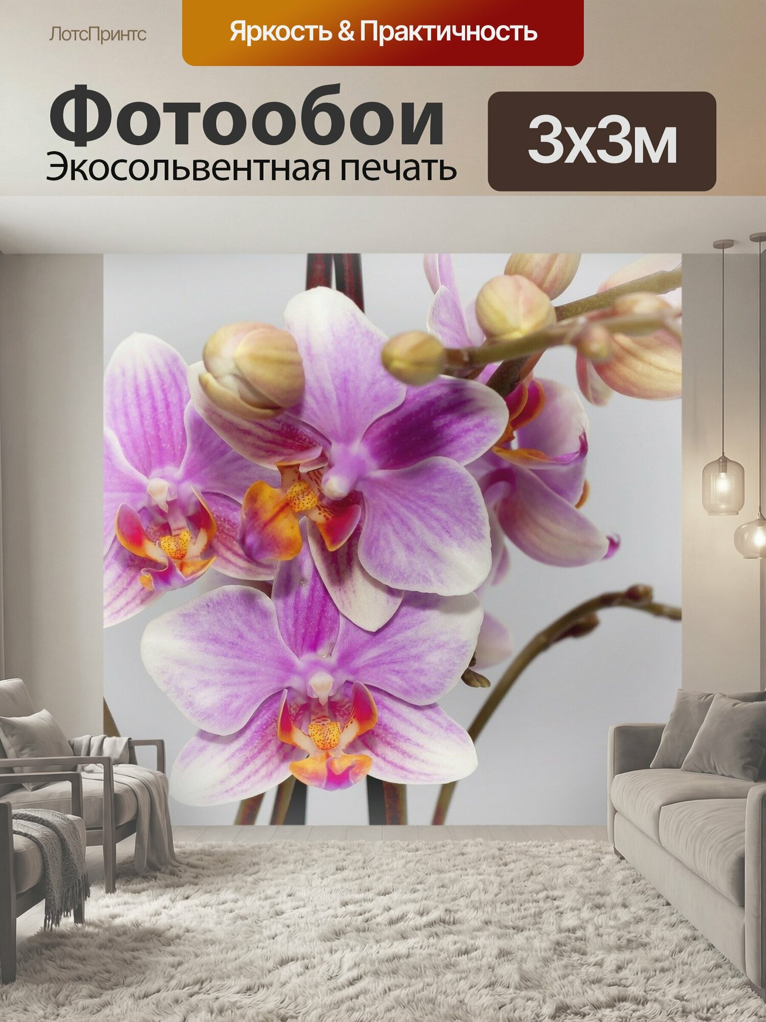 Фотообои "Фаленопсис, фиолетовый, орхидея" 300x300 см. экосольвентная печать