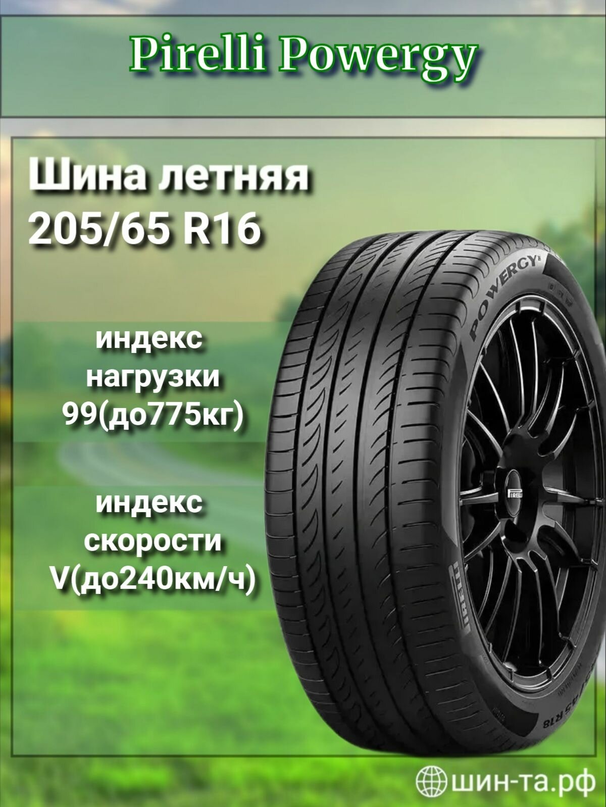 Шина легковая летняя Pirelli Powergy 205/65 R16 99V TL