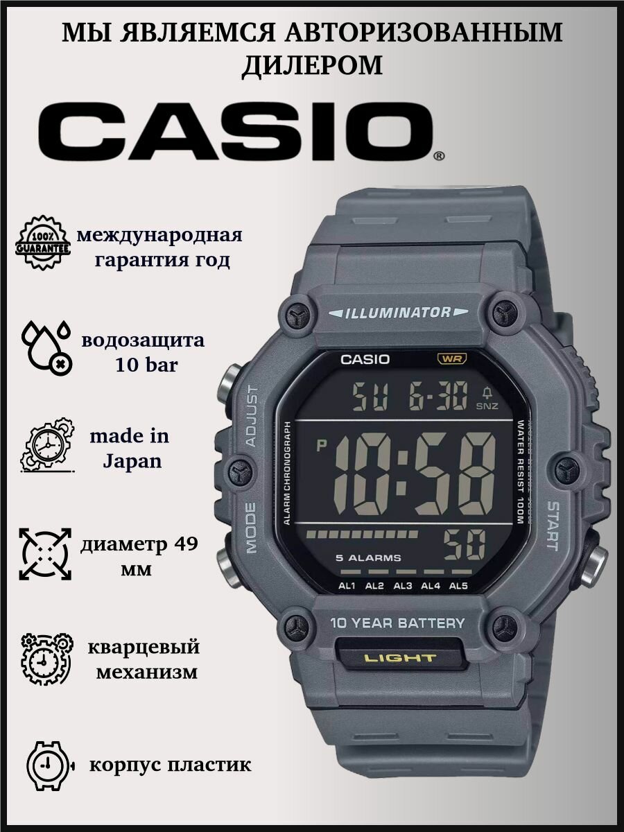CASIO, серый