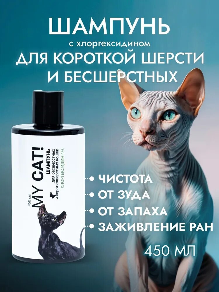 MY CАТ! Шампунь для кошек и собак с короткой шерстью с хлоргексидином от запаха и зуда