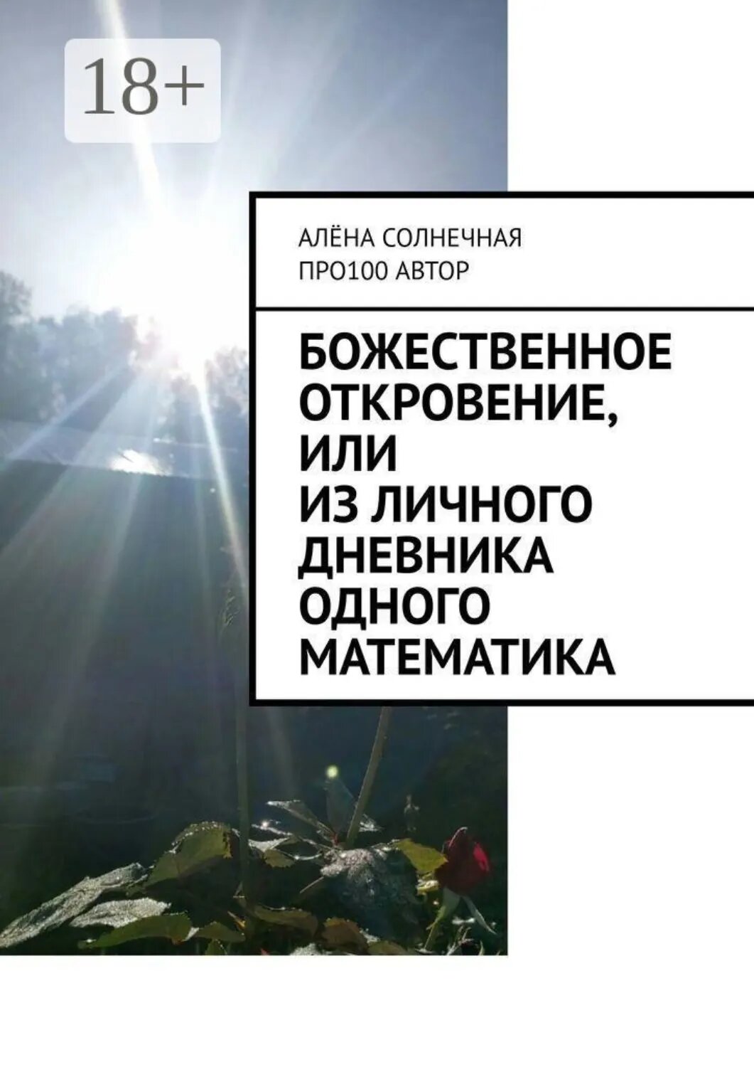 Божественное откровение, или Из личного дневника одного математика [Цифровая книга]