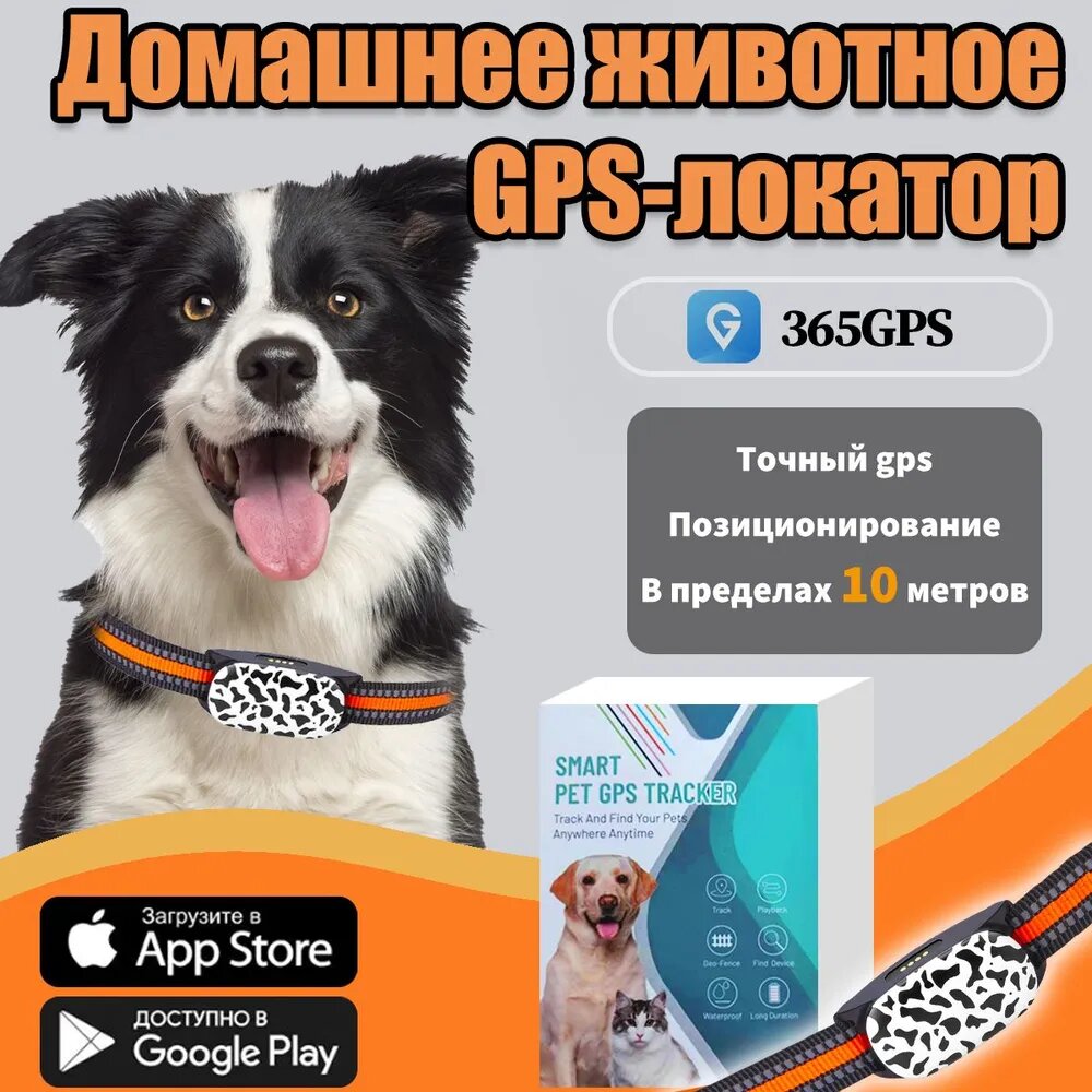 GPS трекер для собак и кошек с ошейником, сигнализация о потере связи, Встроенная сим-карта, фирменное приложение и бесплатная техническая поддержка