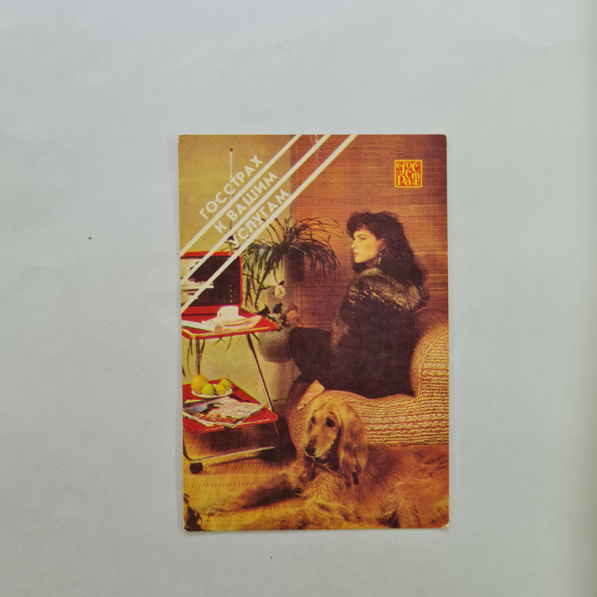Карманный календарик СССР 1989. Госсстрах, женщина с собакой в интерьере. Советский календарь