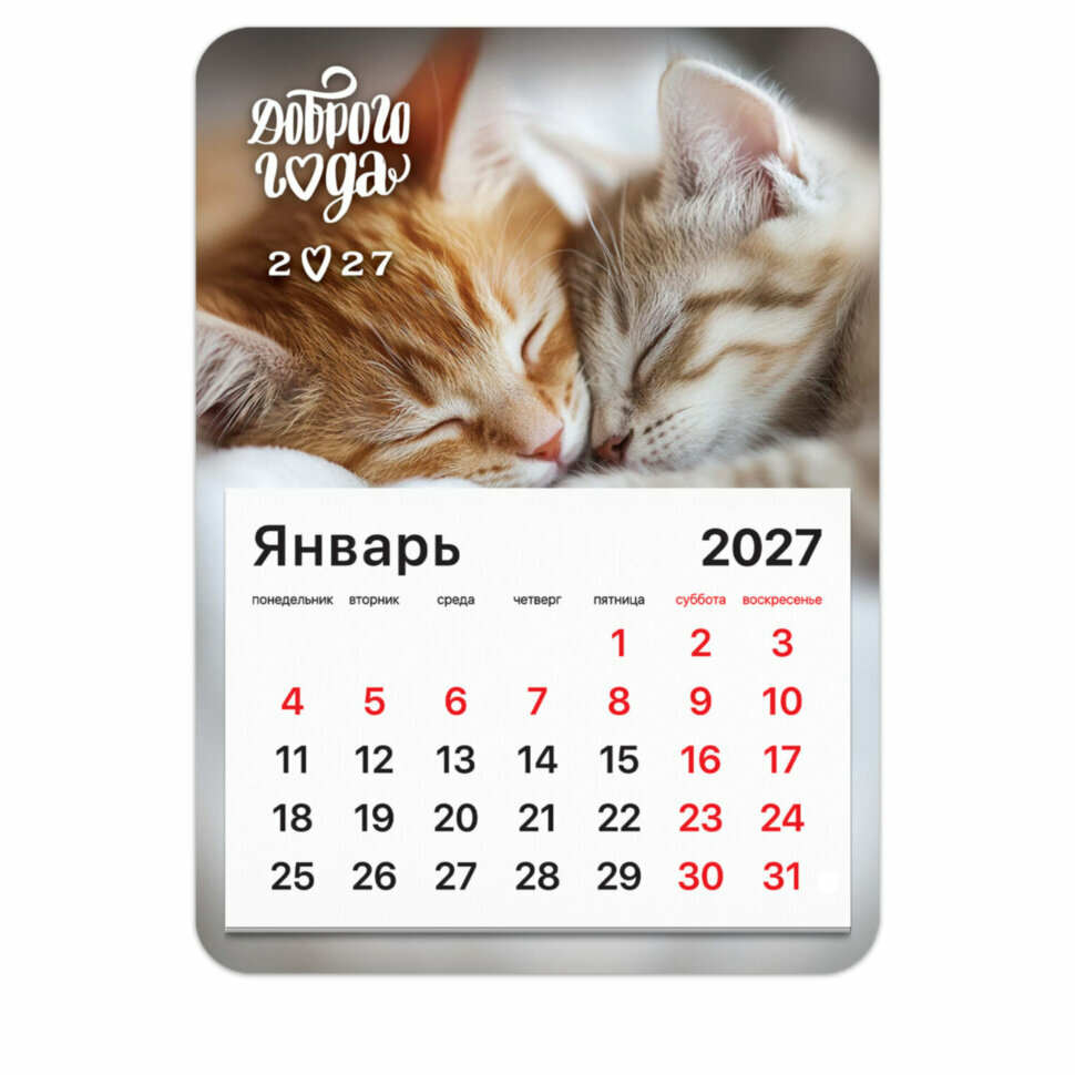 Календарь отрывной на магните на 2027 г, BRAUBERG, 130x180 мм, склейка, "Котики", 118478, 118478