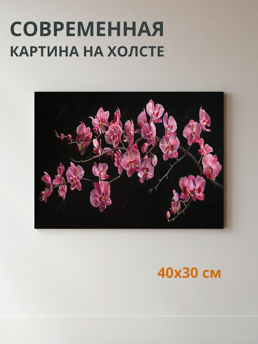 Картина на холсте Орхидея 40x30 см