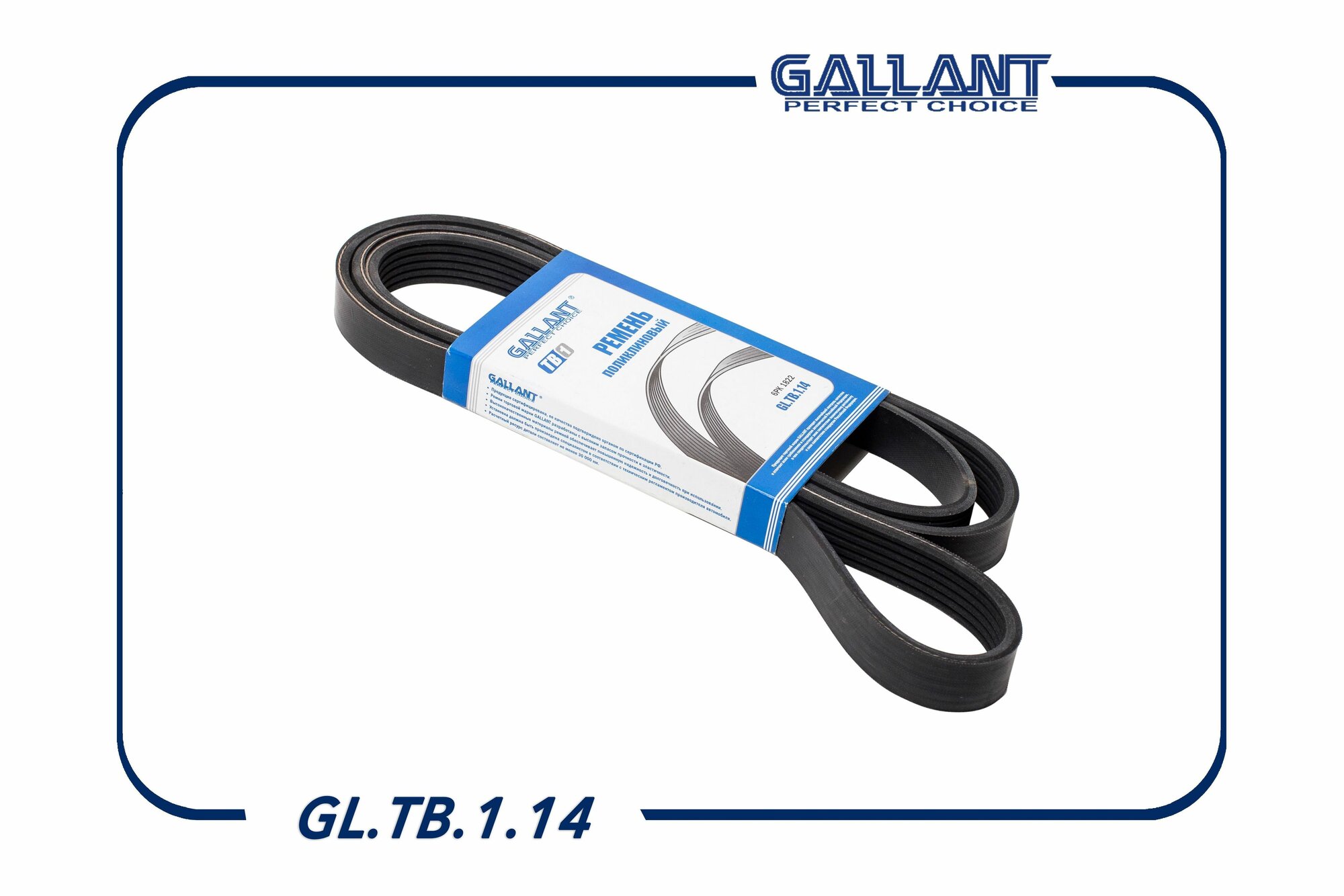 Ремень поликлиновой GALLANT GLTB114
