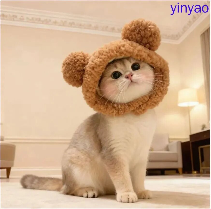 Шапка для кошек и котят, забавная шляпа для кота, аксессуар для фотосессии и праздника животных