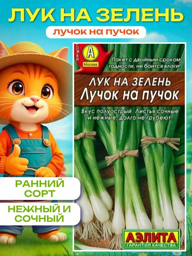 Семена лука на зелень, Лук на зелень "Лучок на пучок", семена Агрофирма аэлита, 0,5г лук на перо зеленый лук выращивание зелени для зелени
