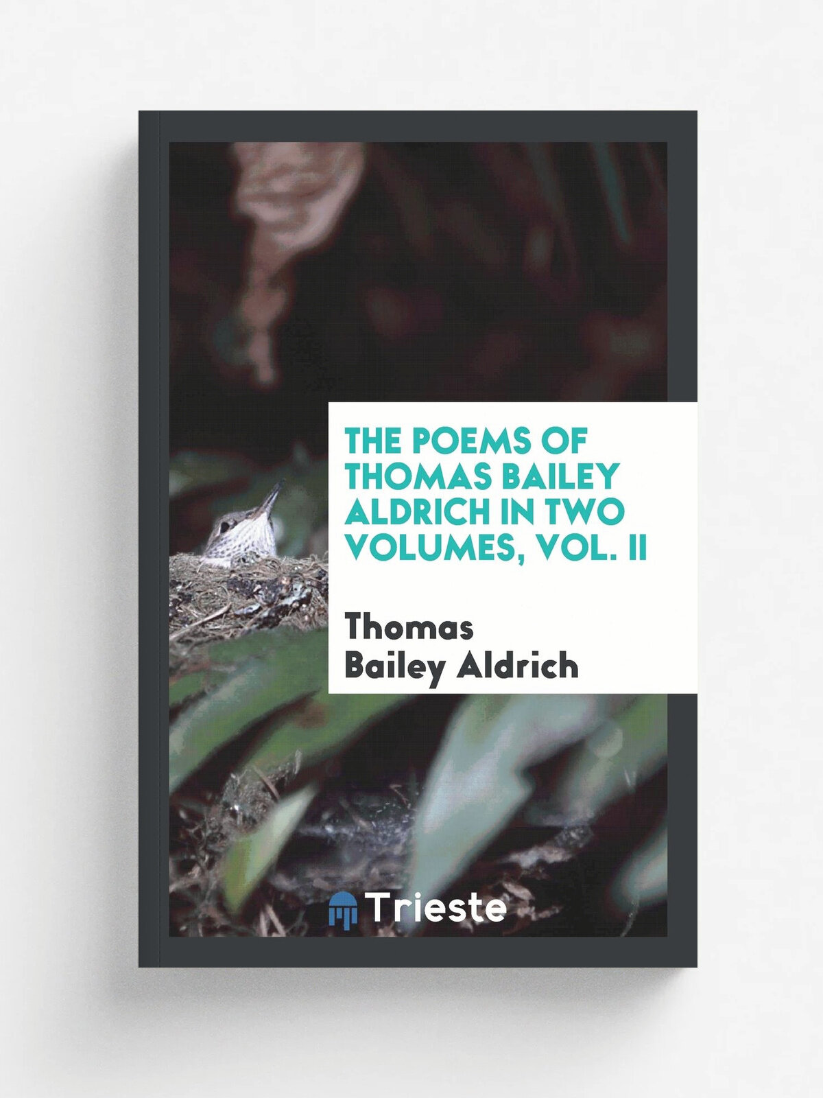 The poems of Thomas Bailey Aldrich in two volumes, Vol. II