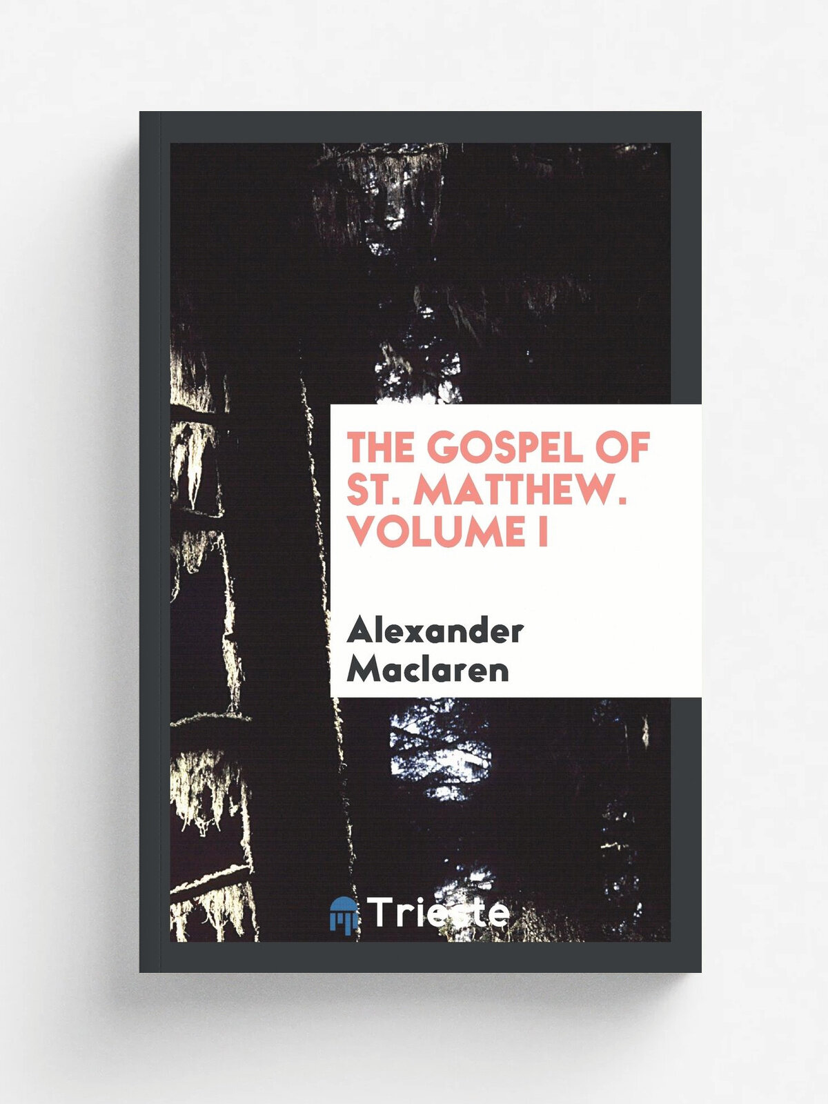 The Gospel of St. Matthew. Volume I