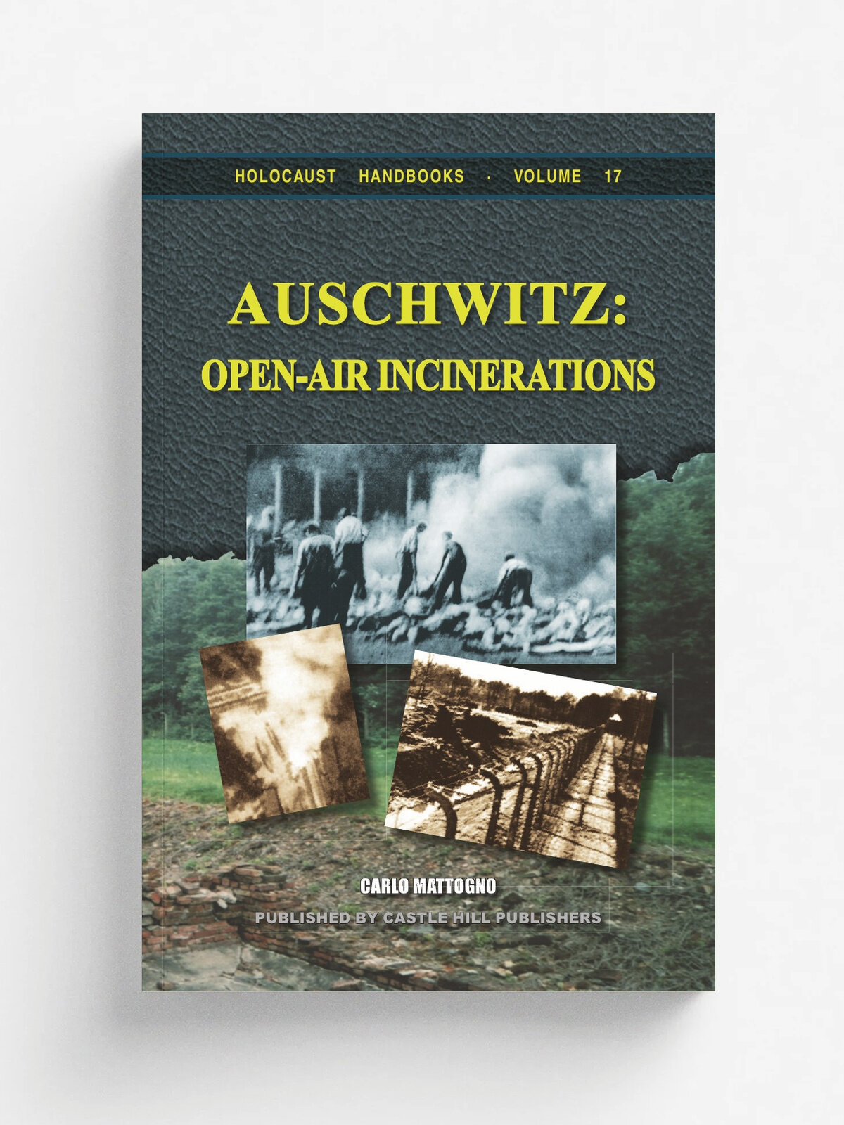 Auschwitz, Open-Air Incinerations