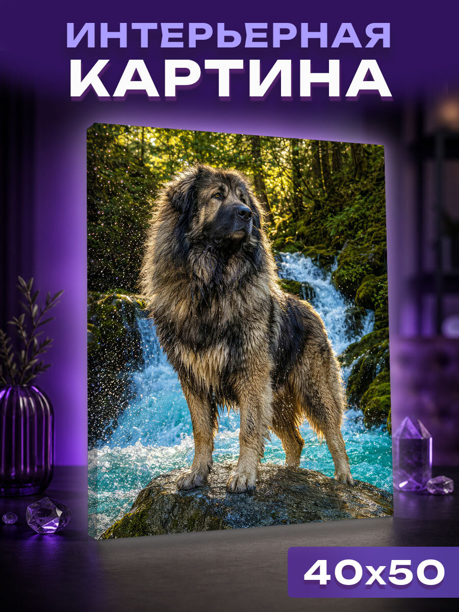 Интерьерная картина Кавказская овчарка на скале у водопада