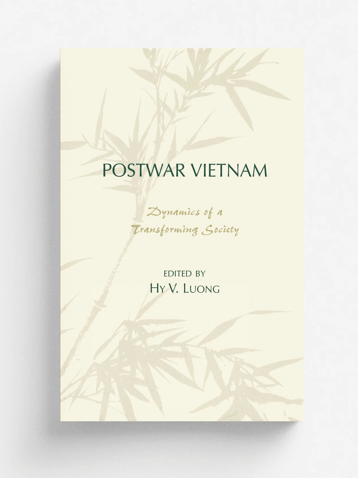 Postwar Vietnam. Dynamics of a Transforming Society