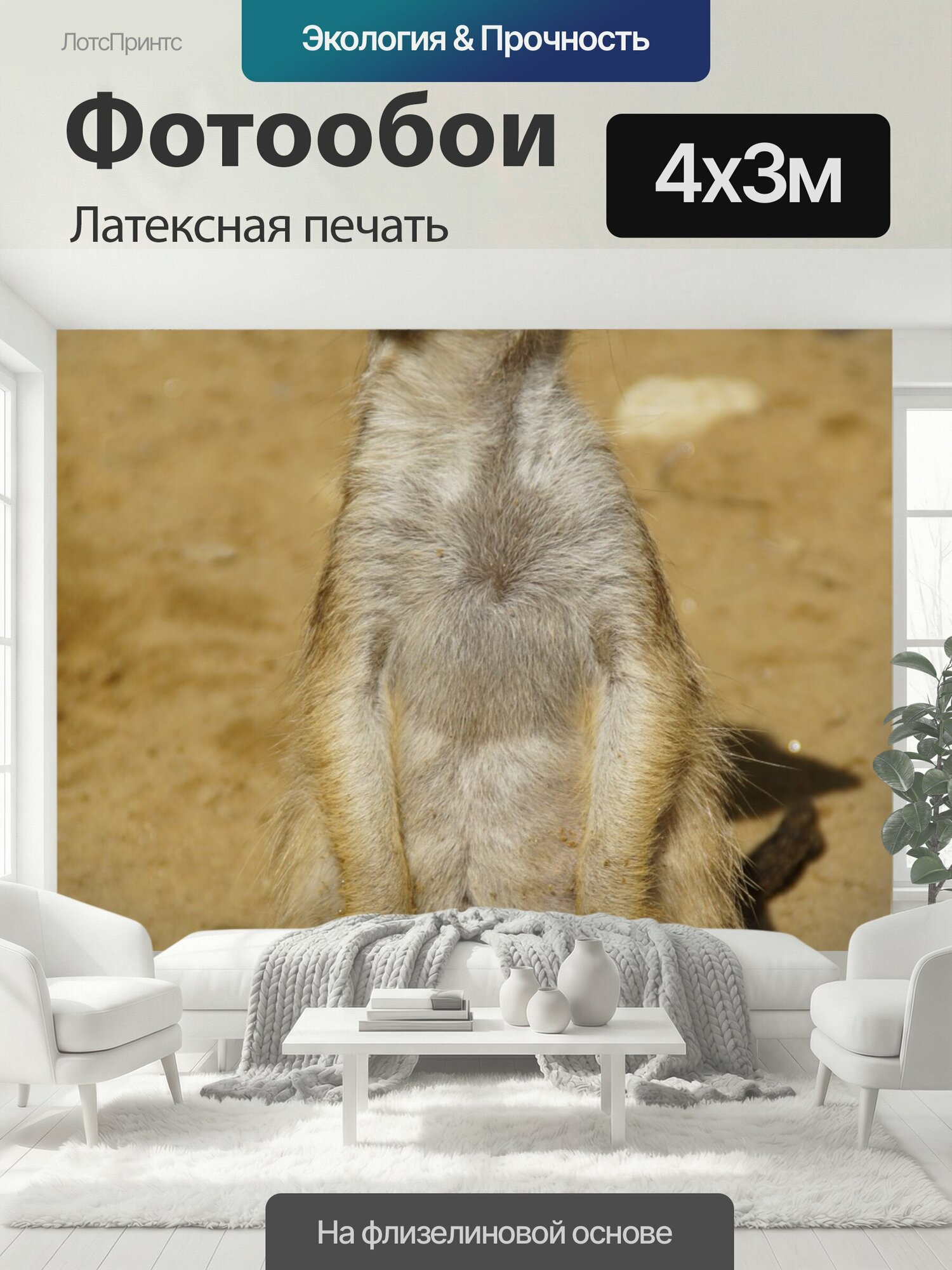 Фотообои моющиеся ударопрочные "Сурикат, милый, дикая природа" 400x300 см. латексная печать