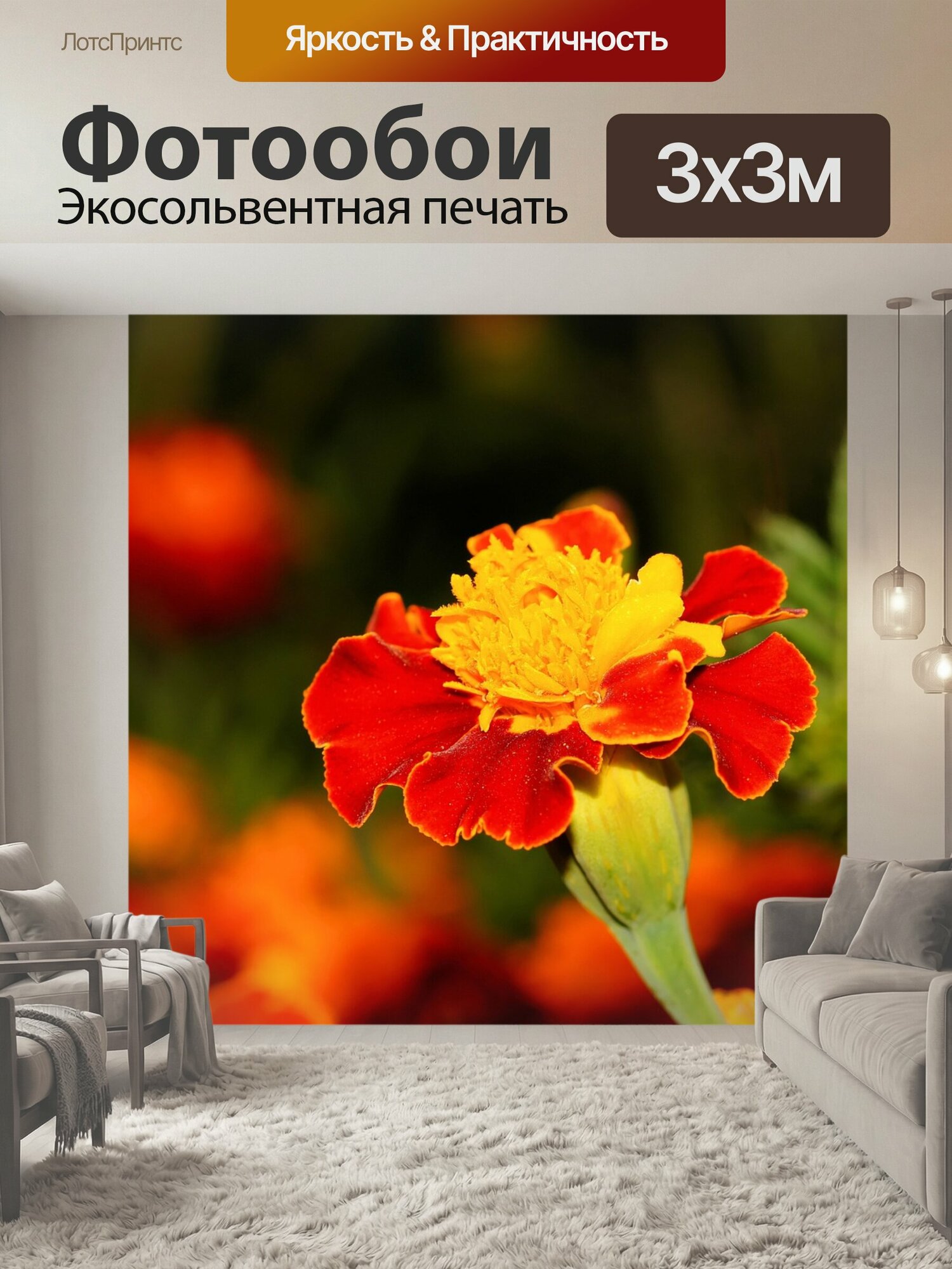 Фотообои "Бархатцы, цветок, цвести" 300x300 см. экосольвентная печать