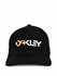 Шапка Oakley B1B Metallic Destination для мальчиков, размер L-XL