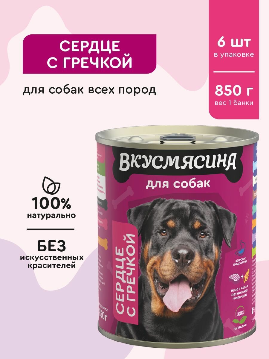 Корм для собак влажный вкусмясина с сердцем и гречкой, 850 г х 6 шт. сердце гречка 850г 6шт