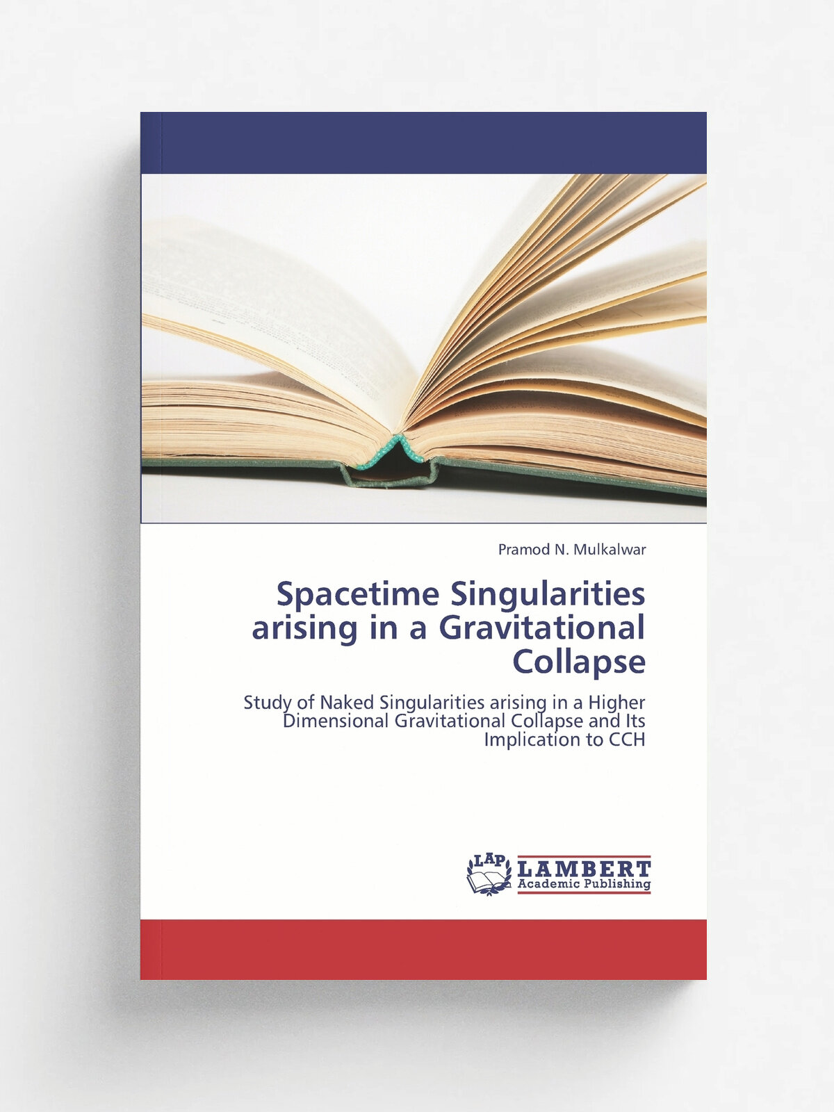 Spacetime Singularities Arising in a Gravitational Collapse