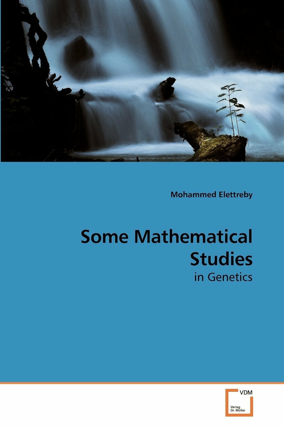 Some Mathematical Studies — фото 1