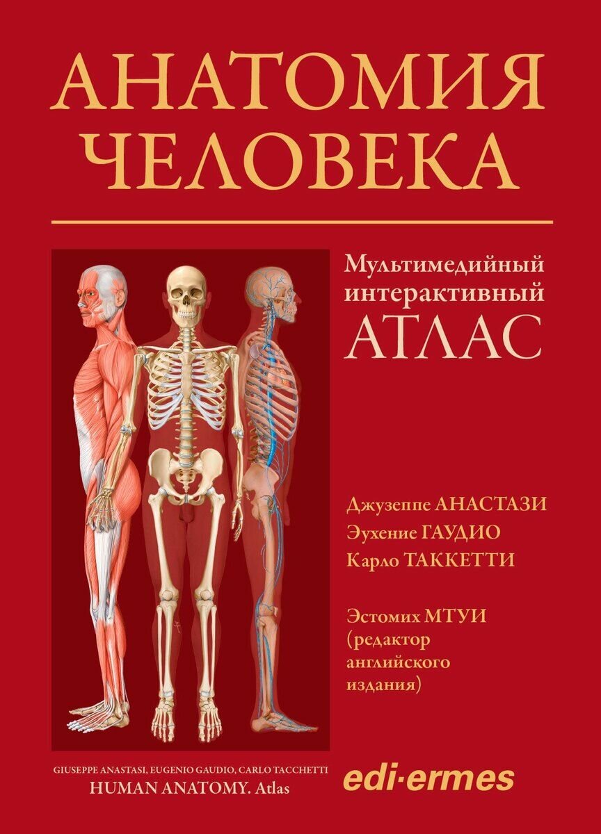 Анатомия человека: атлас