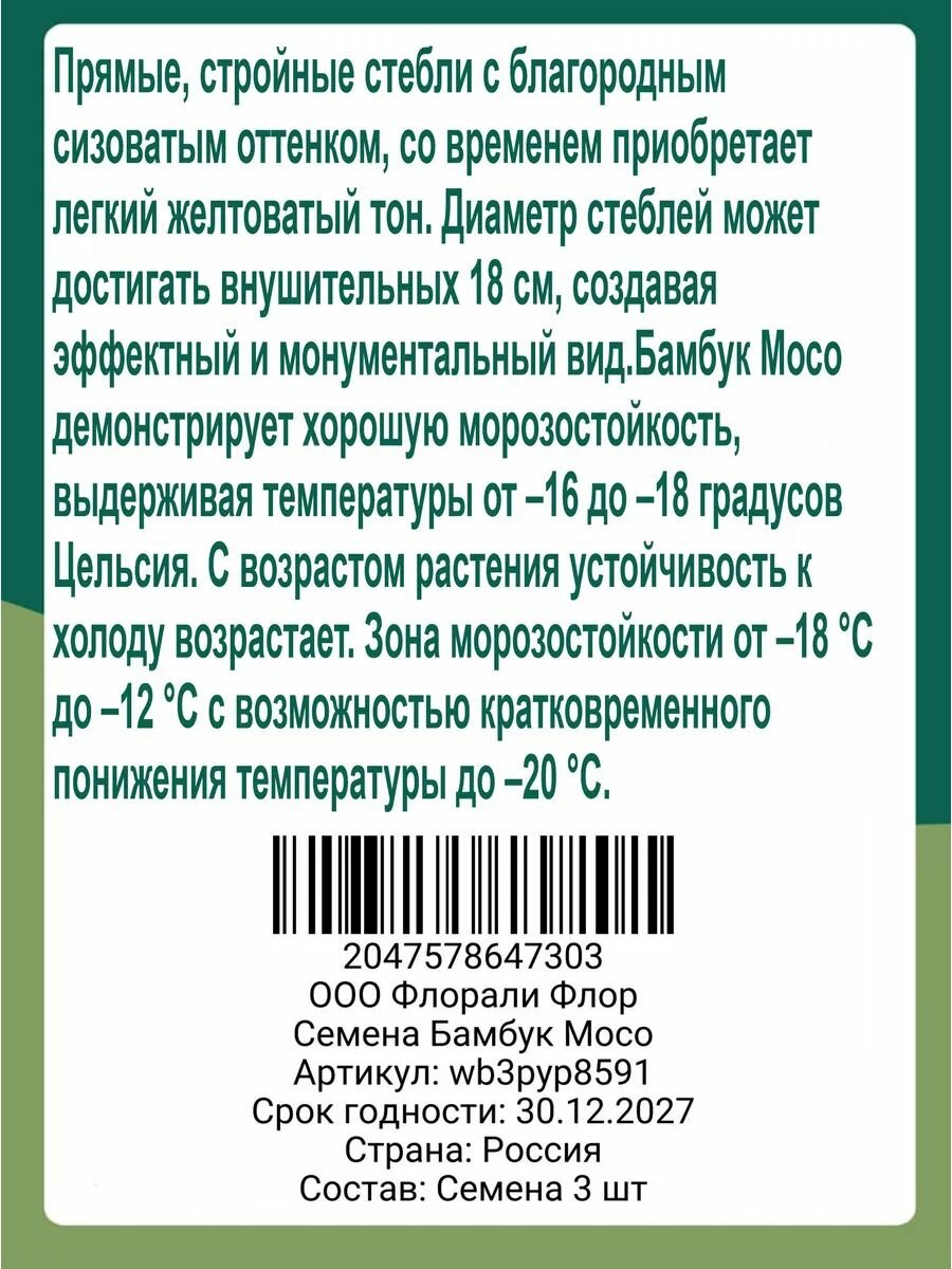 Семена Бамбук Мосо — фото 1