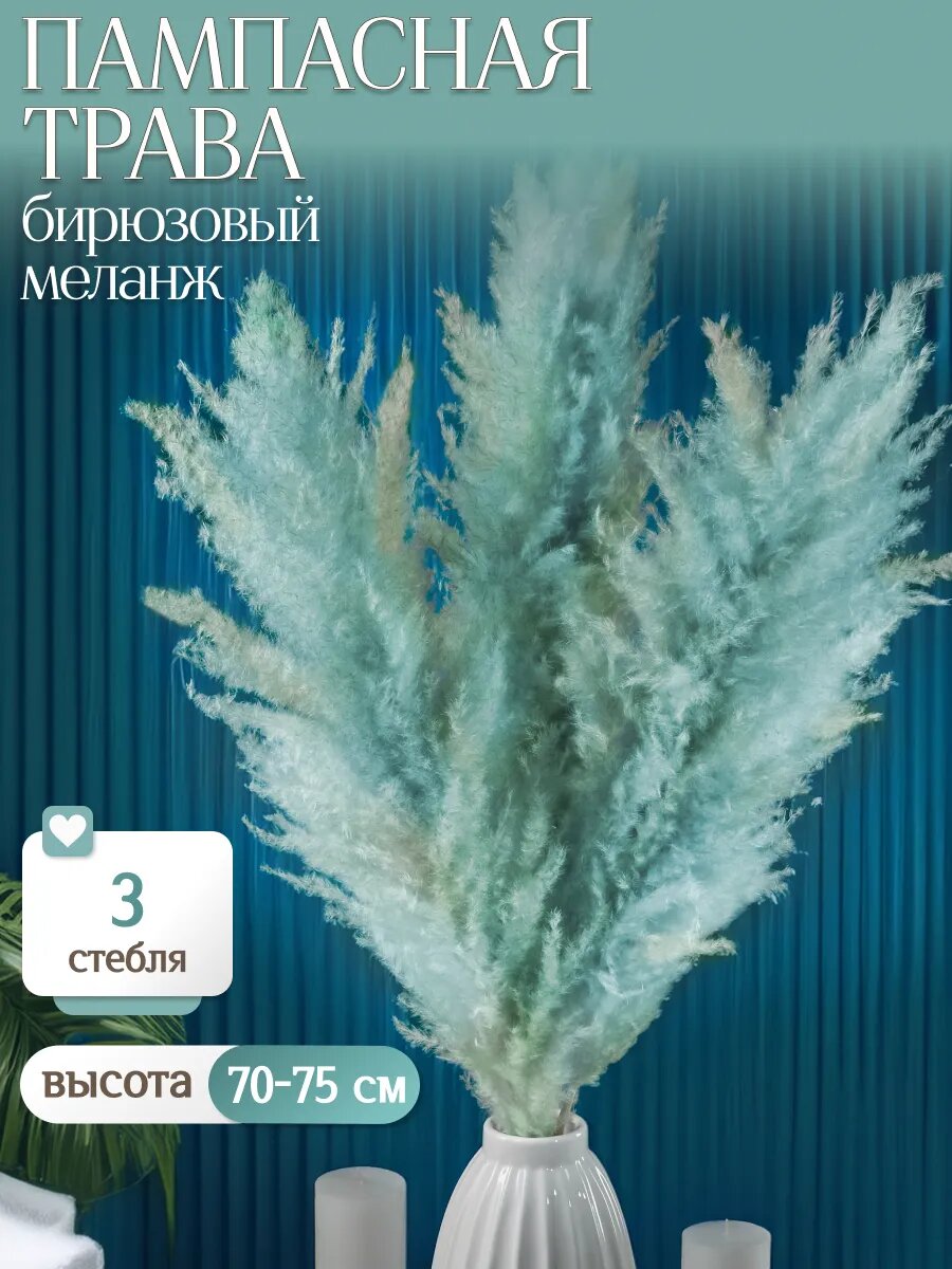Пампасная трава бирюзовый меланж 3шт, до 75см, высокие сухоцветы для декора и интерьера
