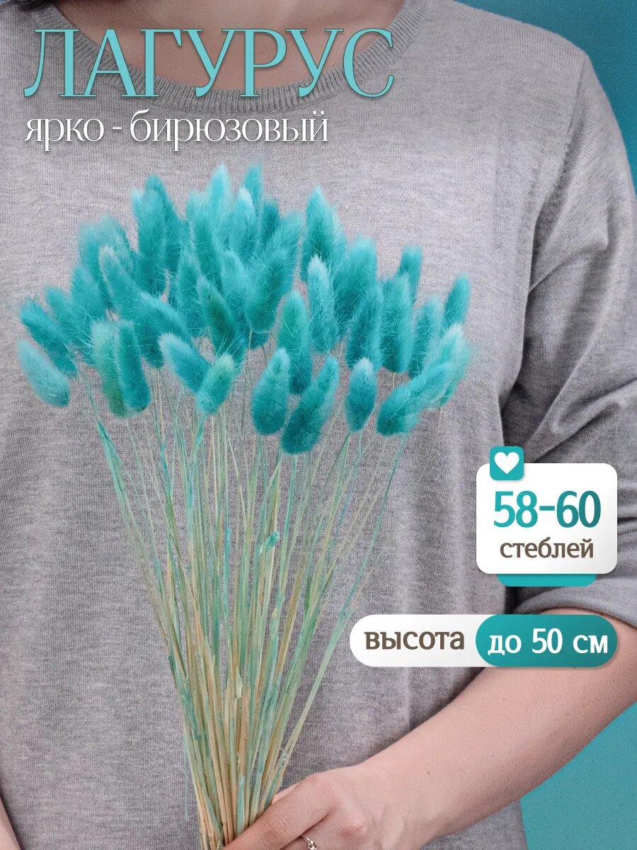 Лагурус ярко-бирюзовый 60 шт сухоцветы для декора бирюзовые