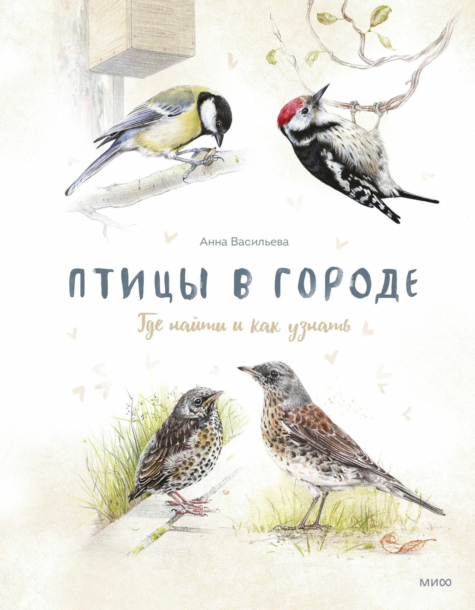 Васильева: Птицы в городе. Где найти и как узнать. Серия Мой первый определитель. Издательство МИФ