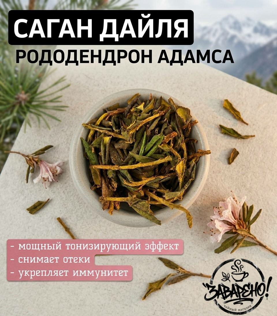 Саган-Дайля, рододендрон Адамса, природный энергетик, бодрящий напиток для энергии и иммунитета, 50 гр.