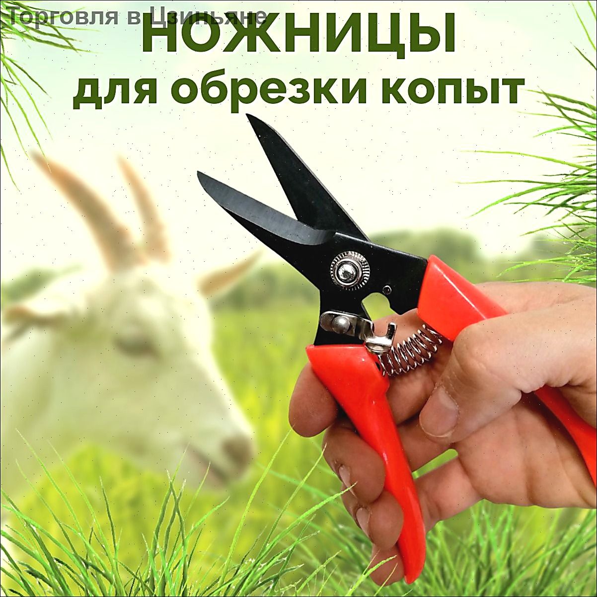 Ножницы для обрезки копыт у коз