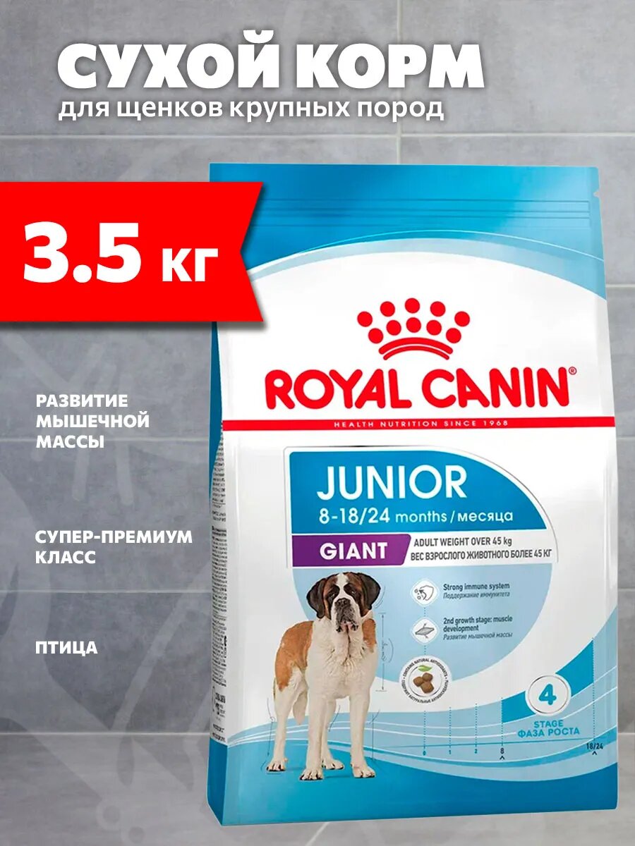 Корм сухой Royal Canin Giant Junior для щенков крупных пород, 3,5 кг