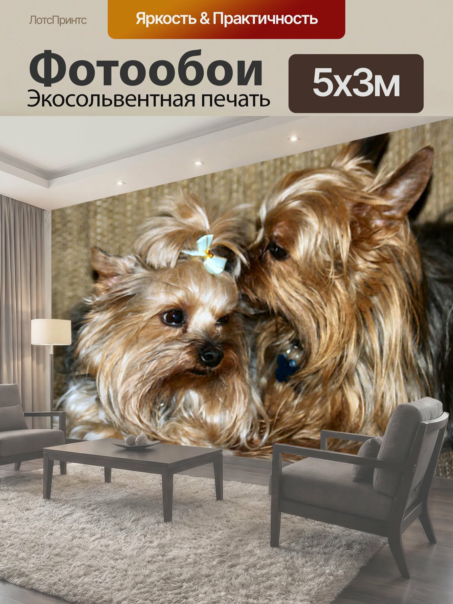 Фотообои "Шейди & Миша Мои два йорки йоркширский терьер" 500x300 см. экосольвентная печать