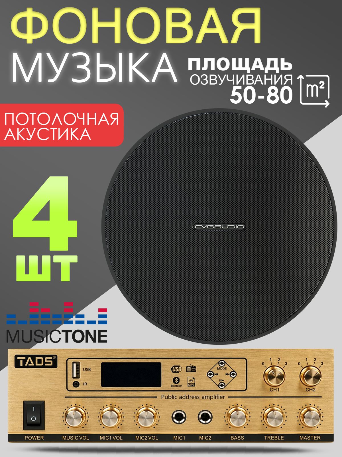 Потолочная акустическая система MusicTone MT06