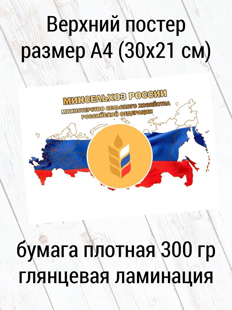 Календарь Минсельхоз — фото 1
