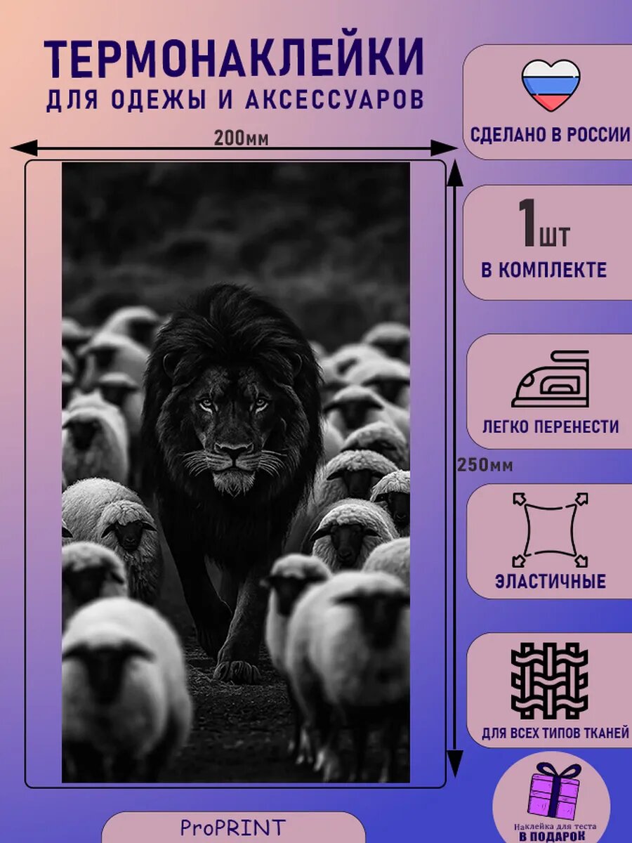 Термонаклейка на одежду
