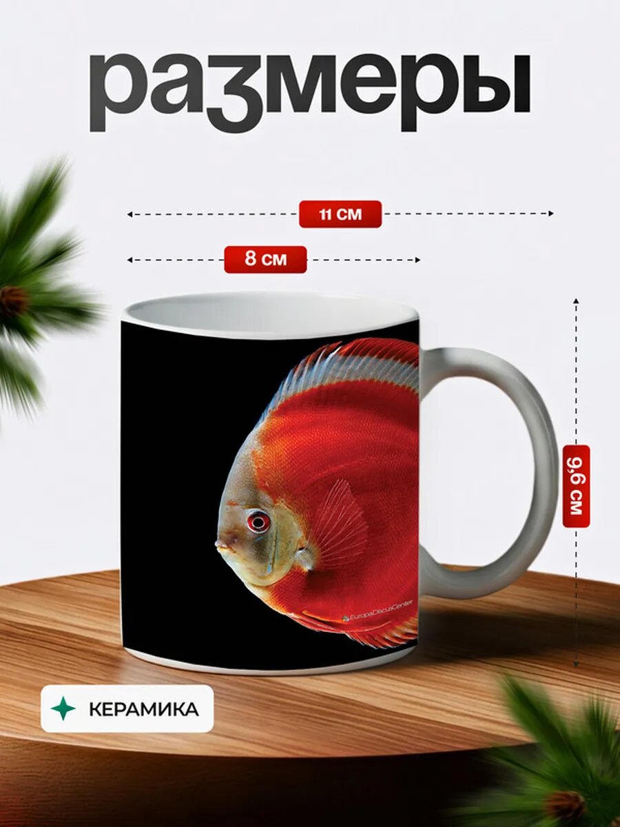 Кружка Дискус рыбка 20, — фото 1